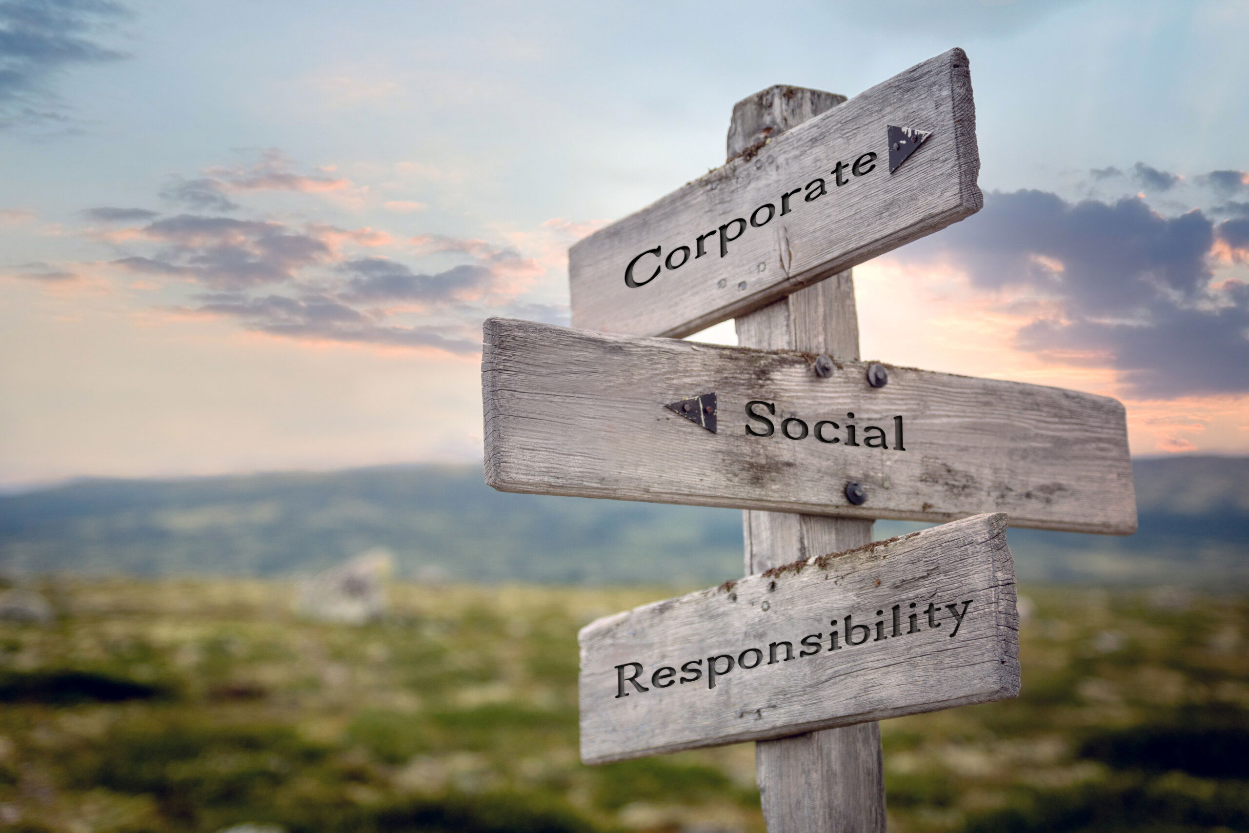 Corporate Responsibility Policy | Acal BFi